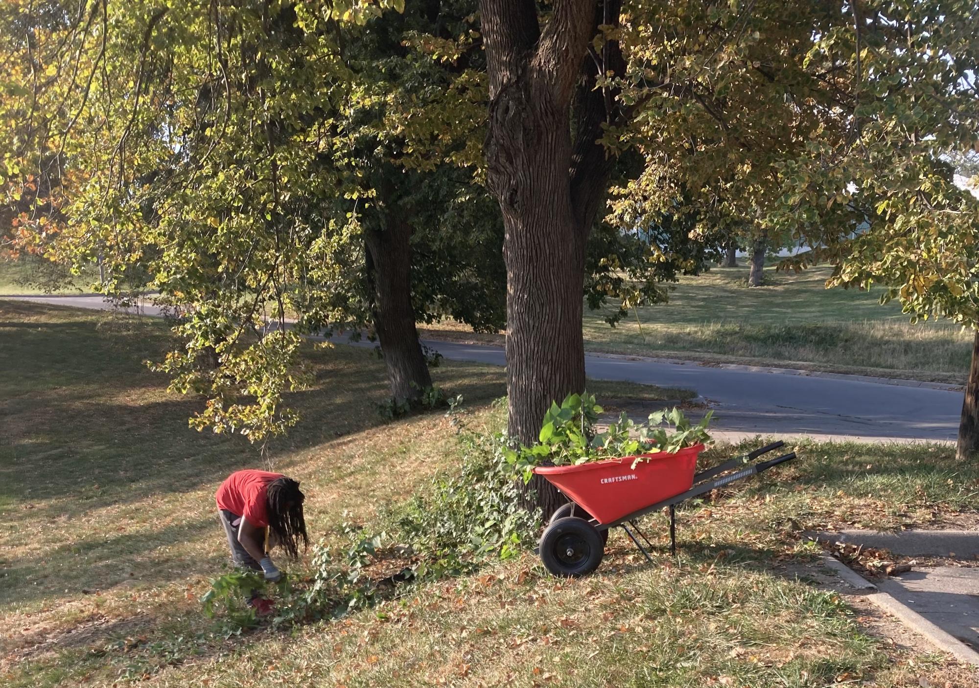 Douglas County Adult Probation Helps Keep Hanscom Park Beautiful ...
